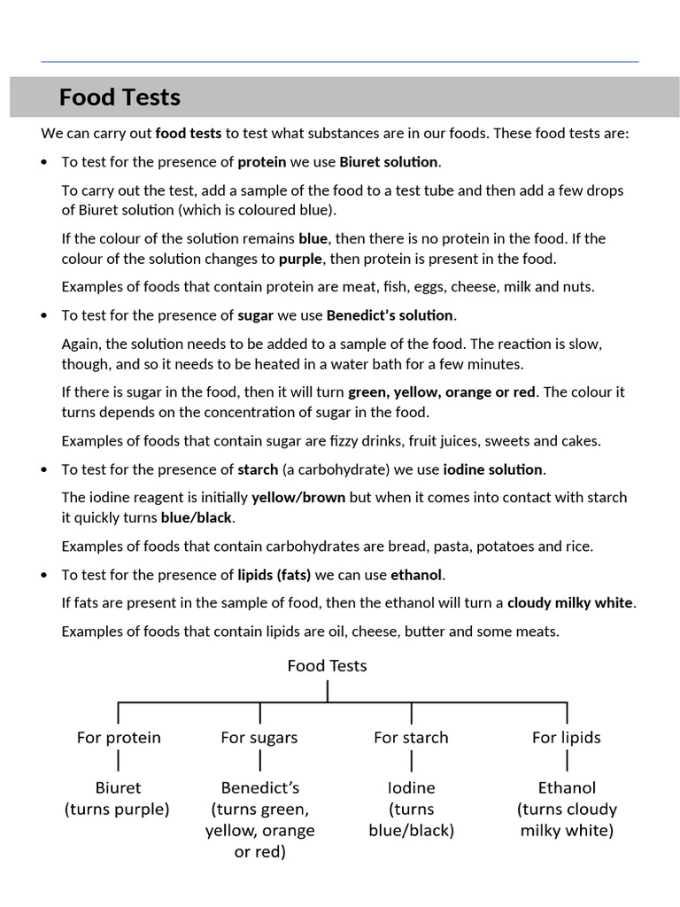 Food Tests 2 | PDF