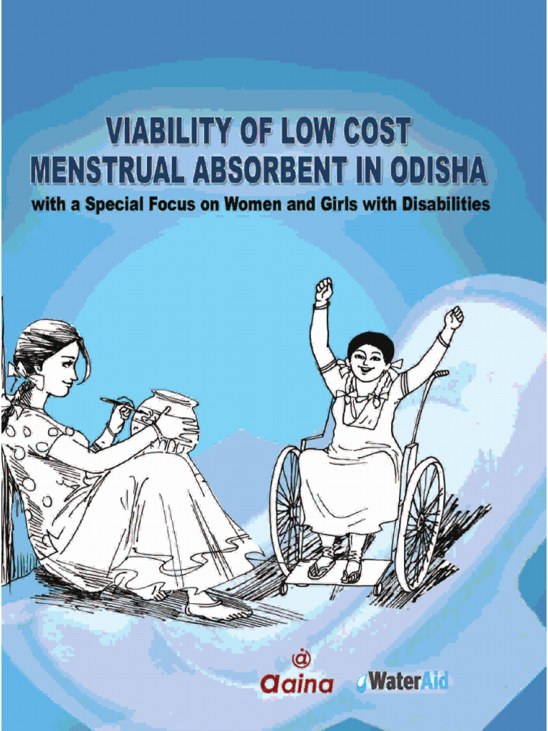 Aaina Viability Low Cost | PDF