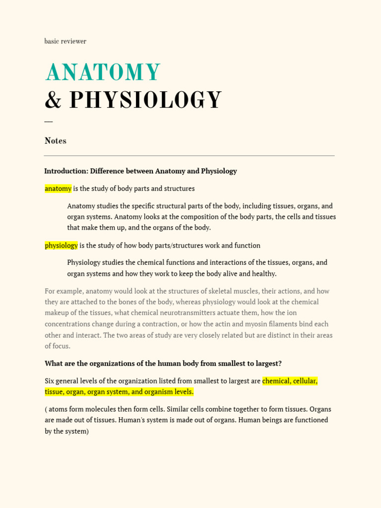 Anatomy and Physiology Basics | PDF