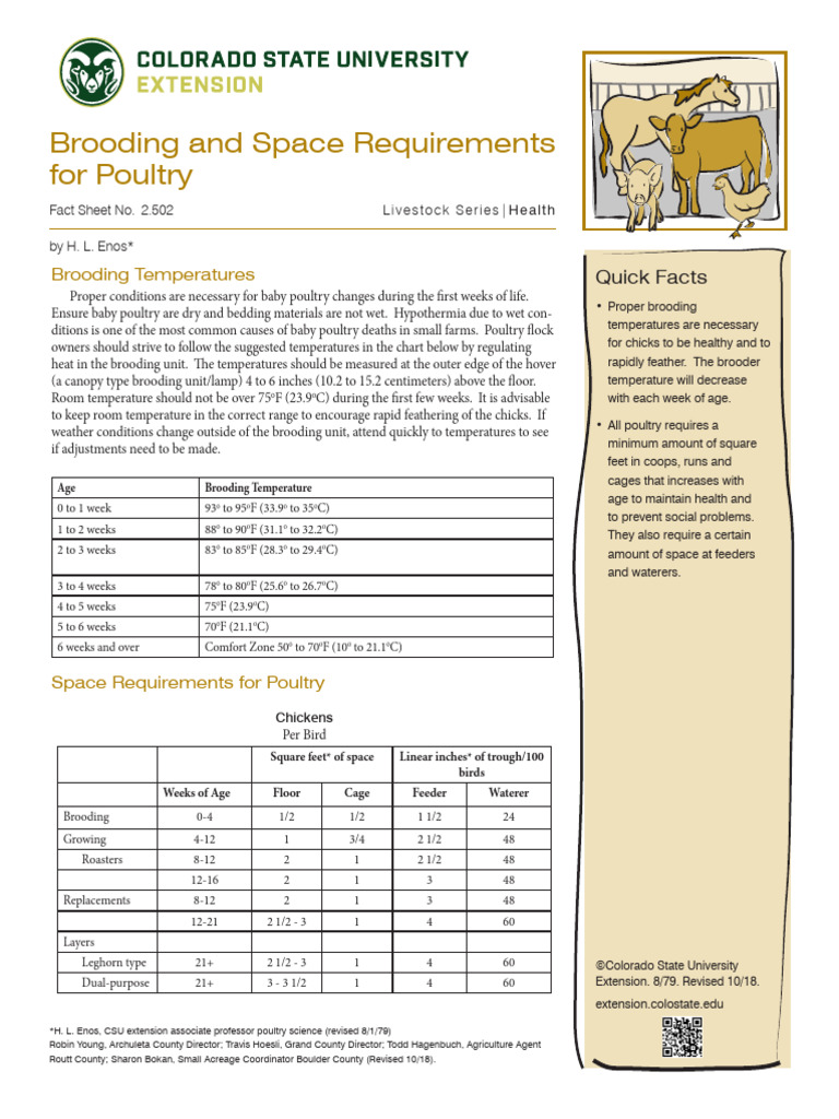 Brooding and Space Requirements | PDF