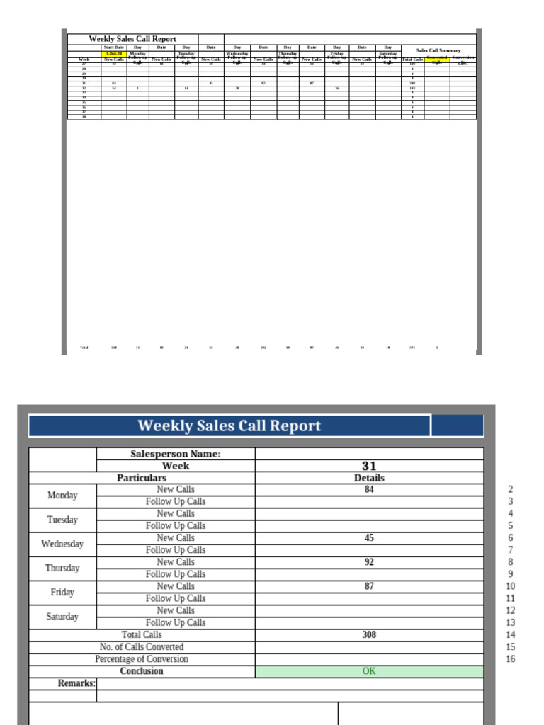 Weekly Sales Call Report Week 32 Coco Produce 2024 | PDF