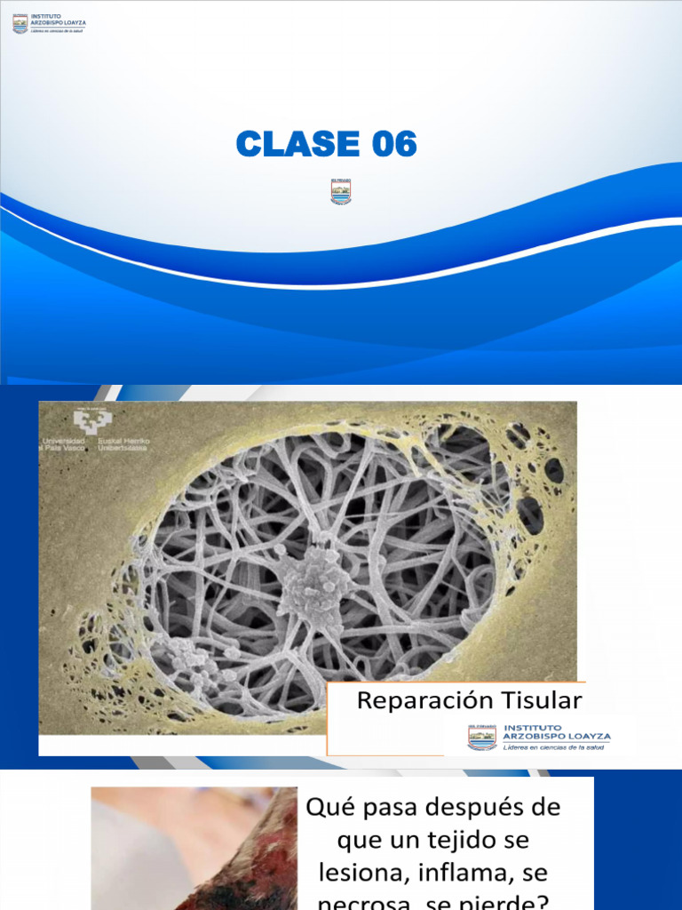 Clase 6 Enf | PDF