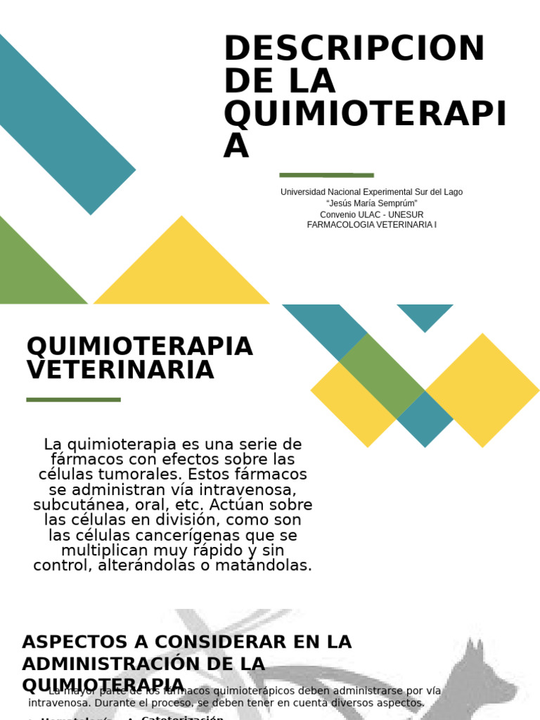 Quimioterapia 2024 | PDF
