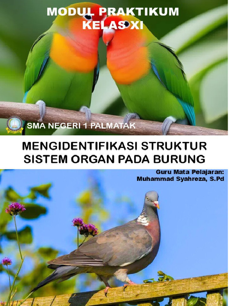Praktikum Sistem Organ Burung | PDF