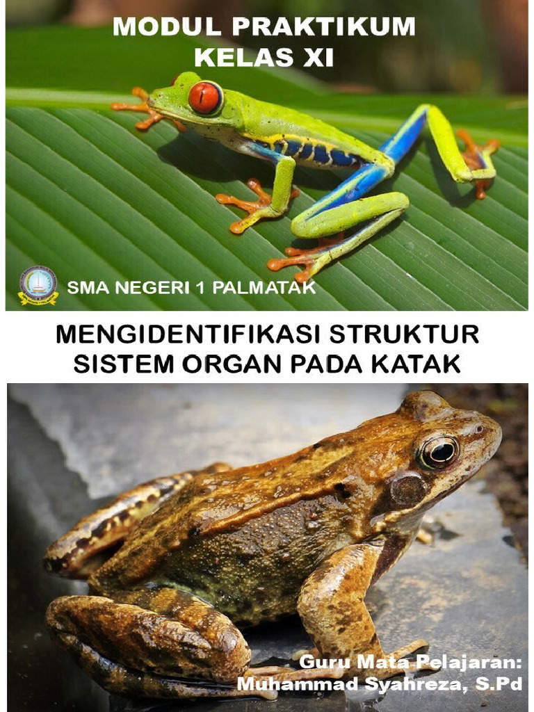 Praktikum Sistem Organ Katak | PDF