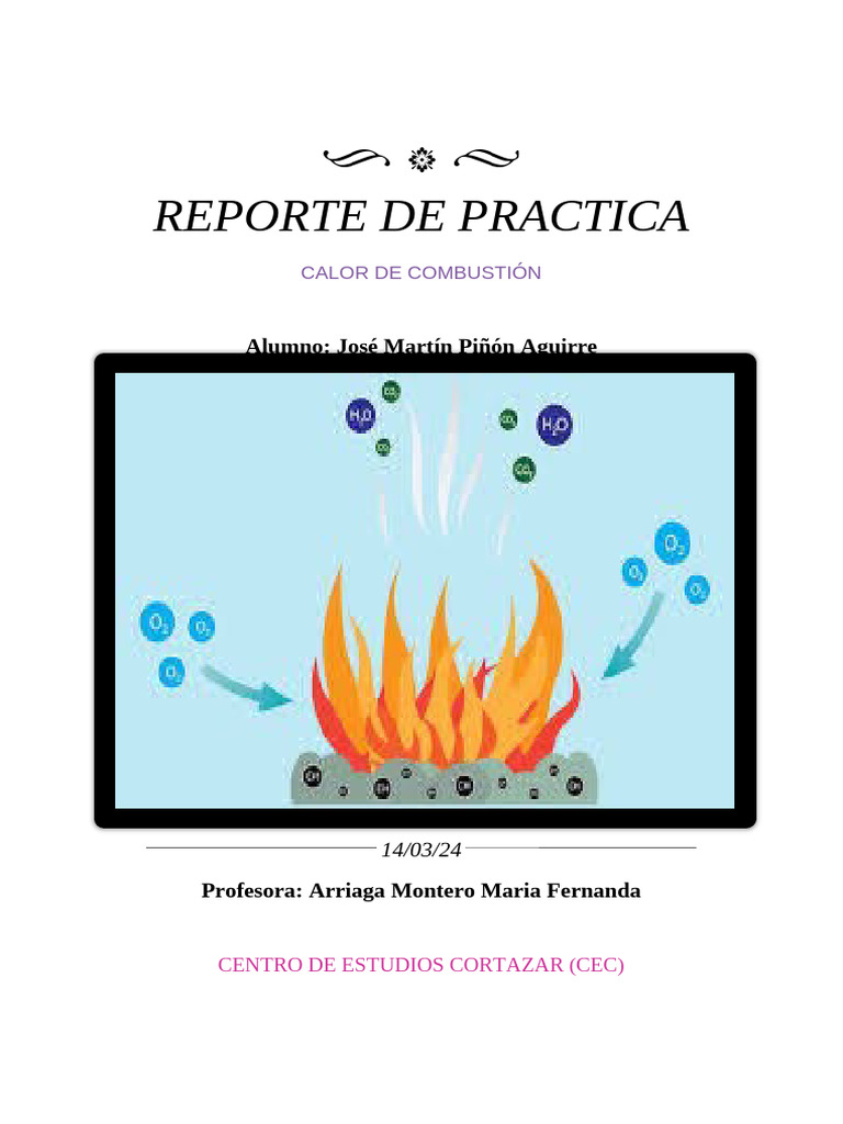 Practica Calor de Combustión | PDF