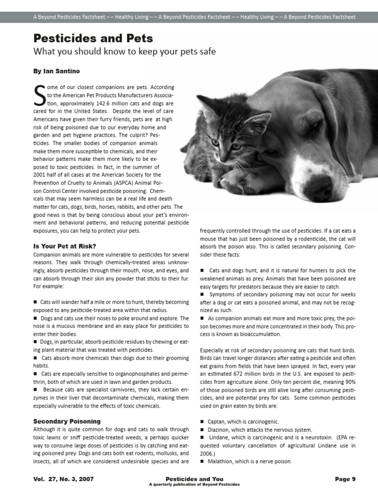 Pets | PDF