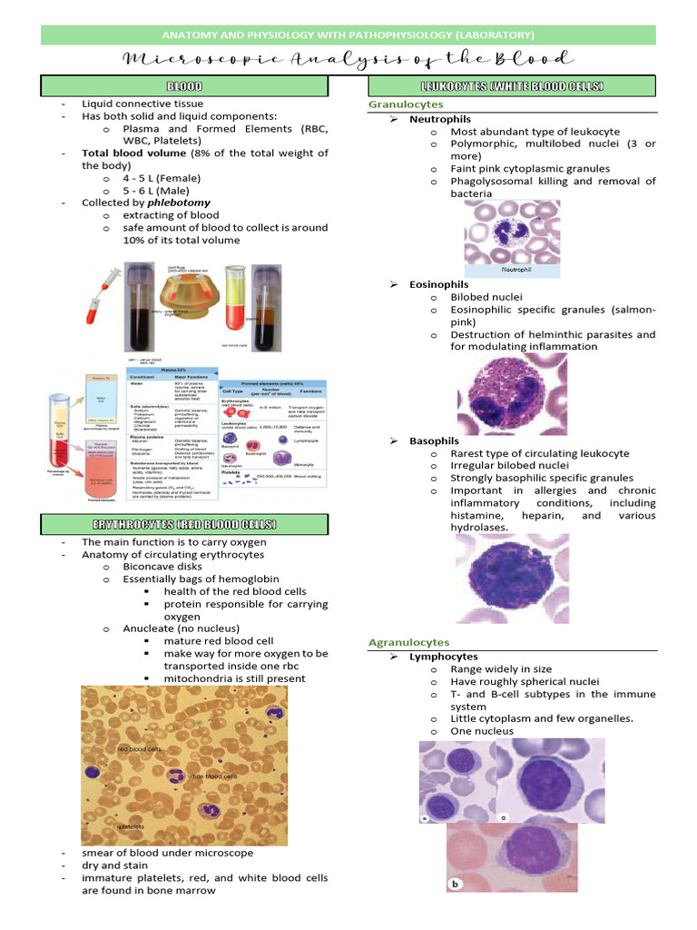 Laboratory 8. Microscopic Analysis of Blood | PDF