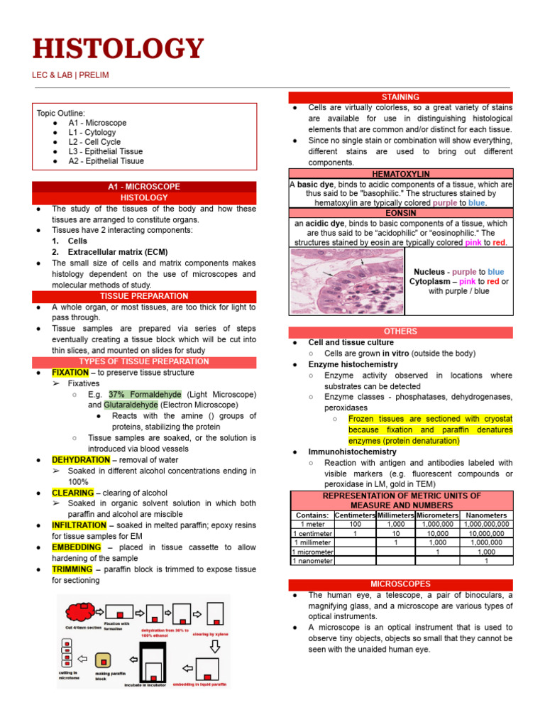 Histology Lec&lab | PDF