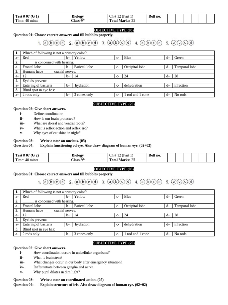 Objective Type | PDF | Eye | Color
