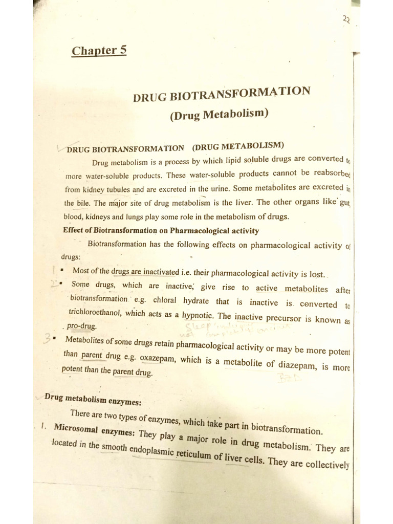 Drug Metabolism | PDF