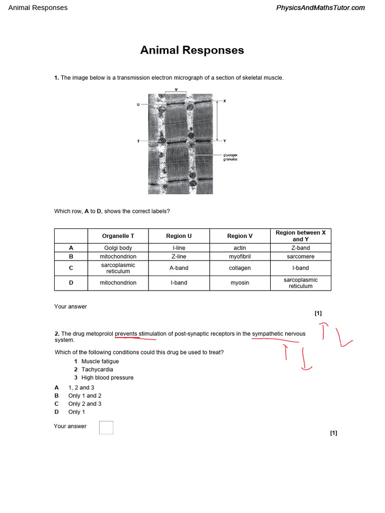 Roxanne 23 March RQ Animal Respo | PDF
