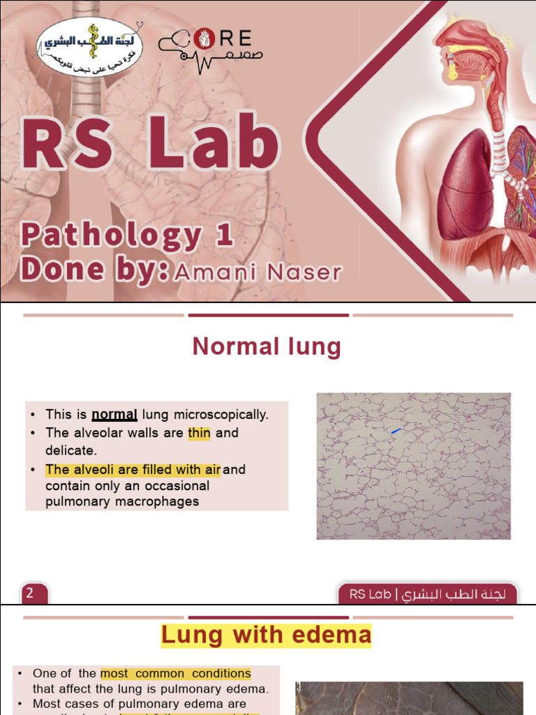 Pathology 1 | PDF