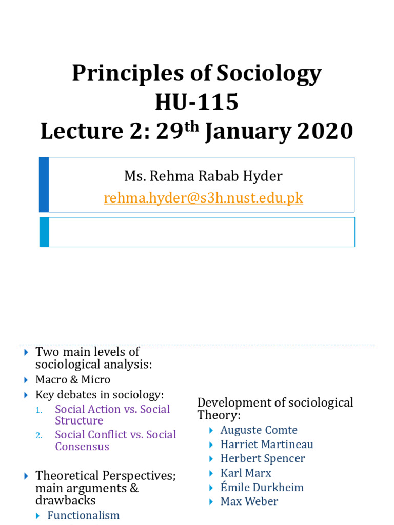 Theoretical Perspectives in Sociology | PDF
