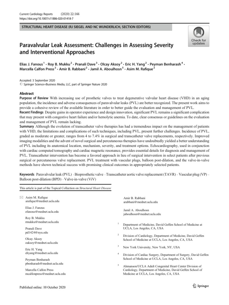 Paravalvular Leak Assessment | PDF