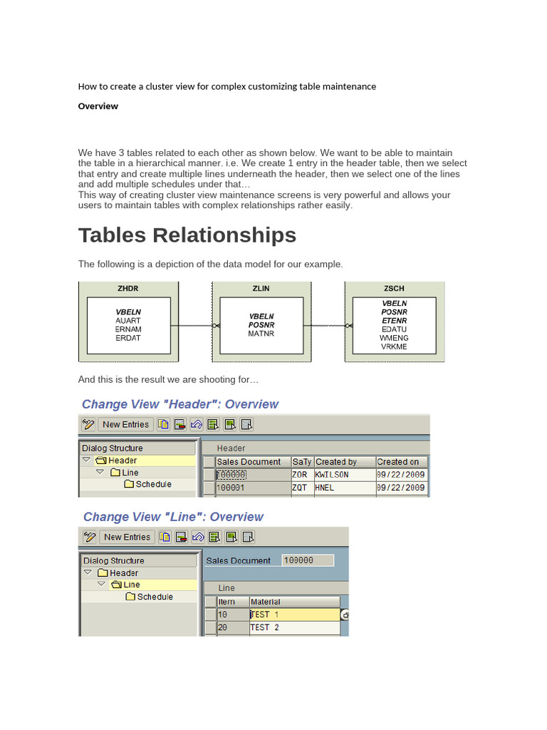 How To Create A Cluster View For Complex Customizing Table Maintenance | PDF