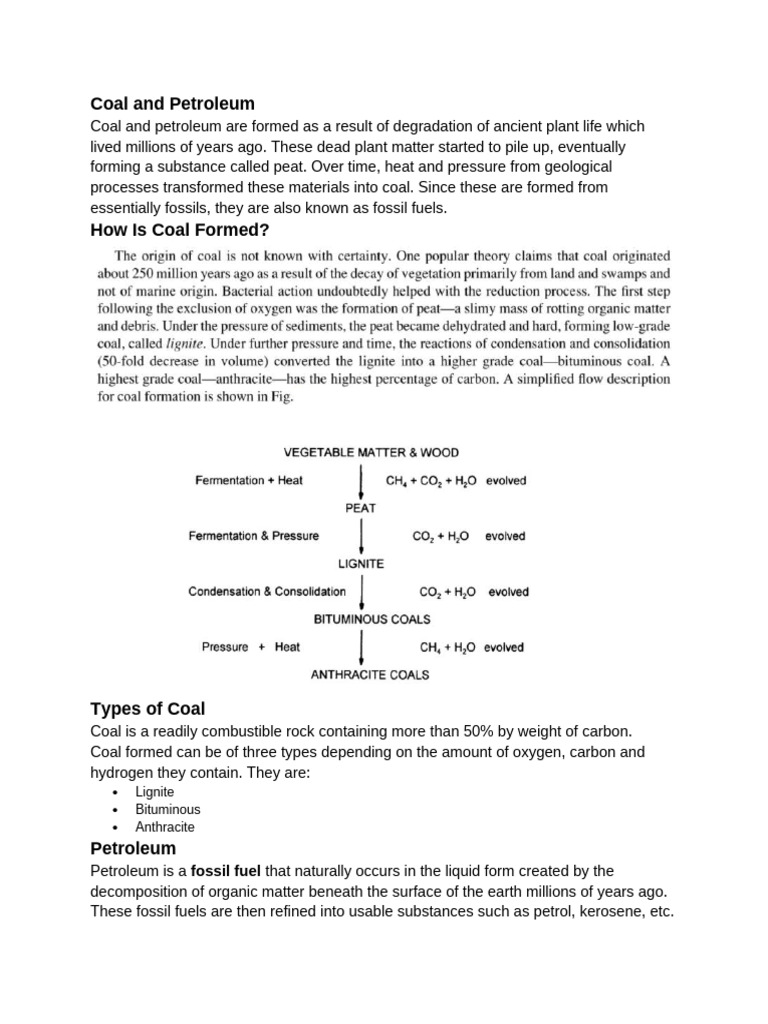 Coal and Petroleum | PDF