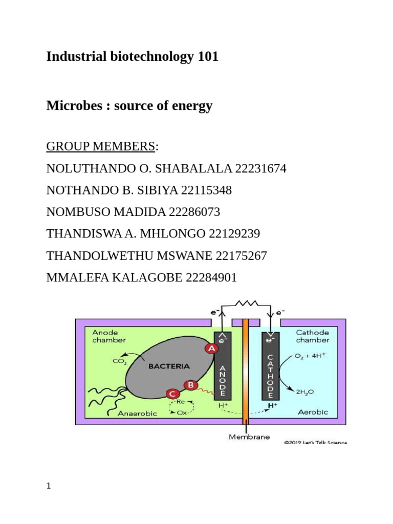 Microbes As Source of Energy | PDF