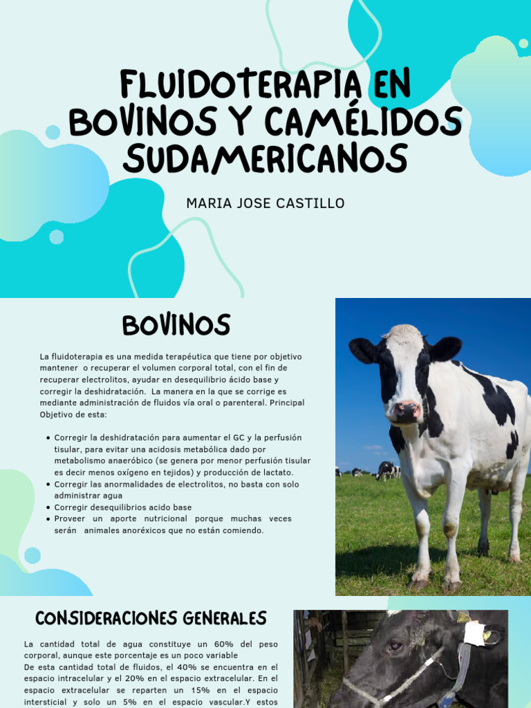Semio Expo | PDF