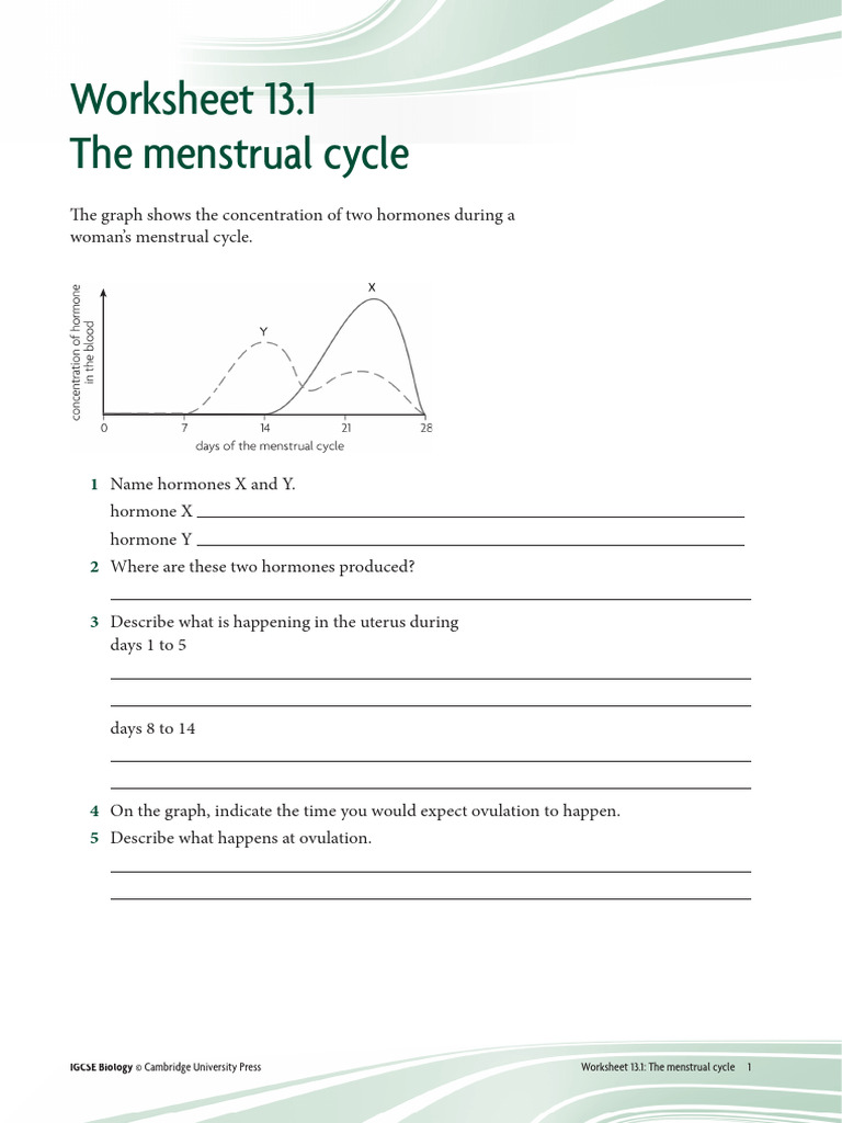 Bio Worksheet 13 01 | PDF