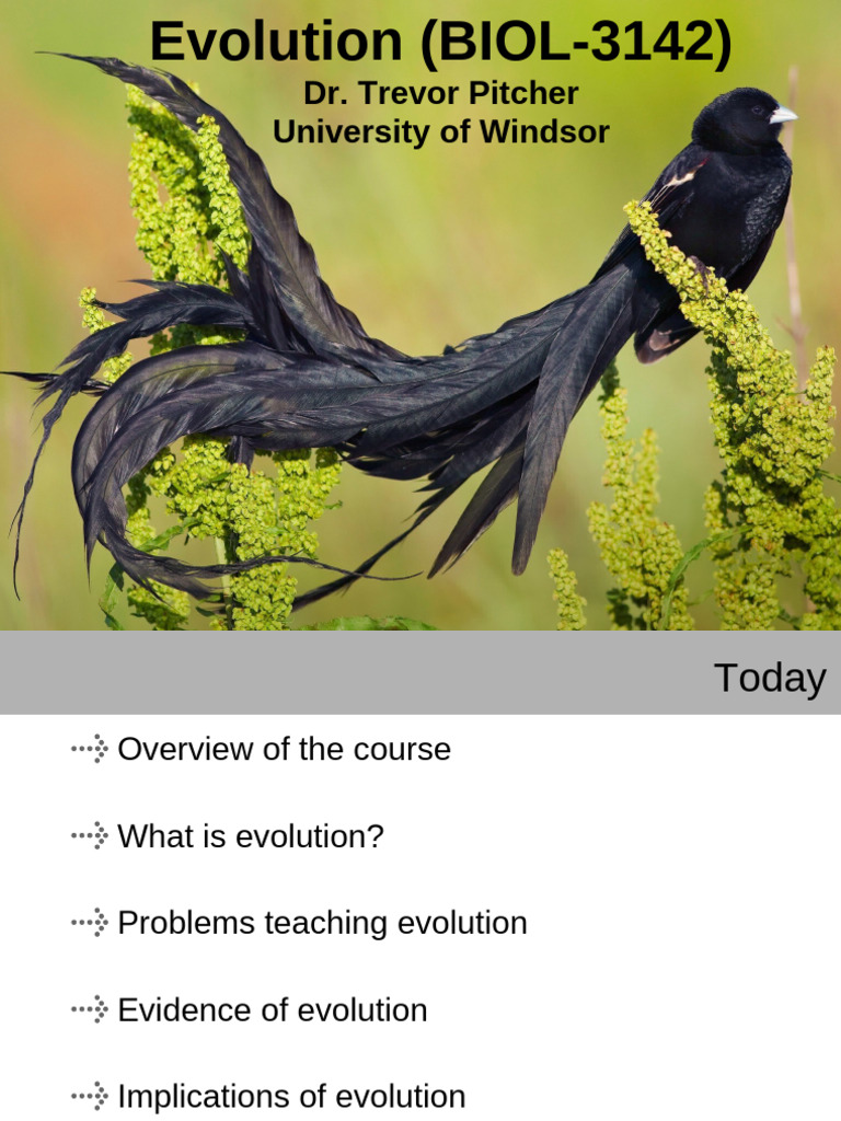 BIOL3142 Lecture Slides Chapter 2:intro | PDF