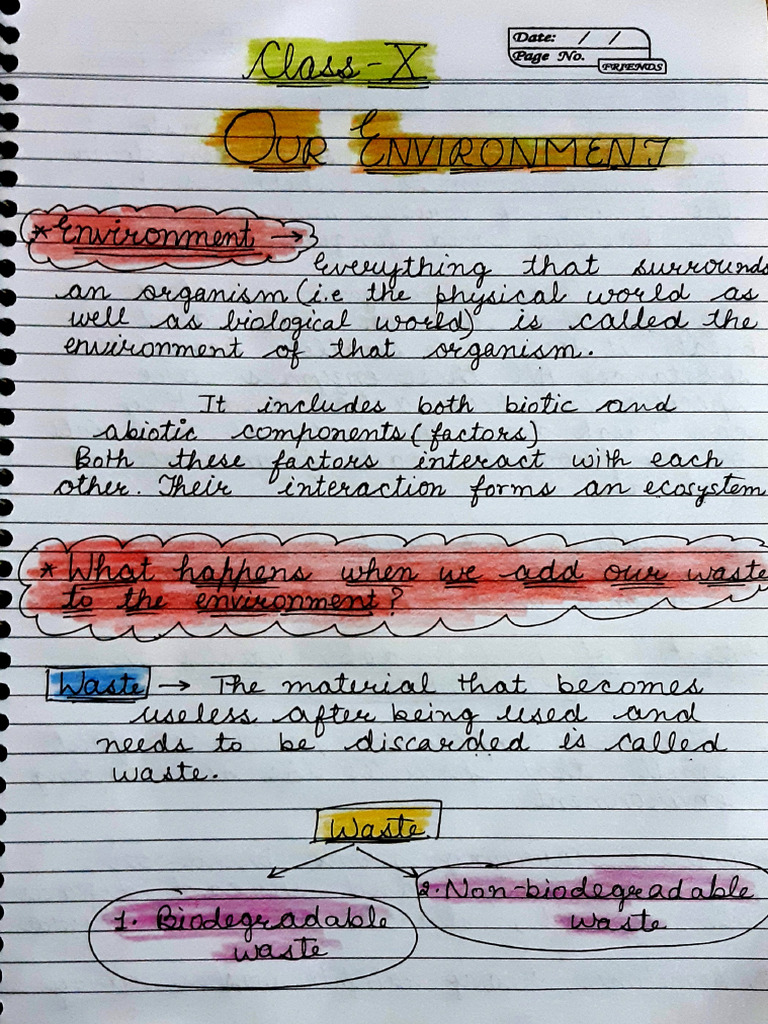 Class X, Biology, Our Environment Notes Part 1 | PDF