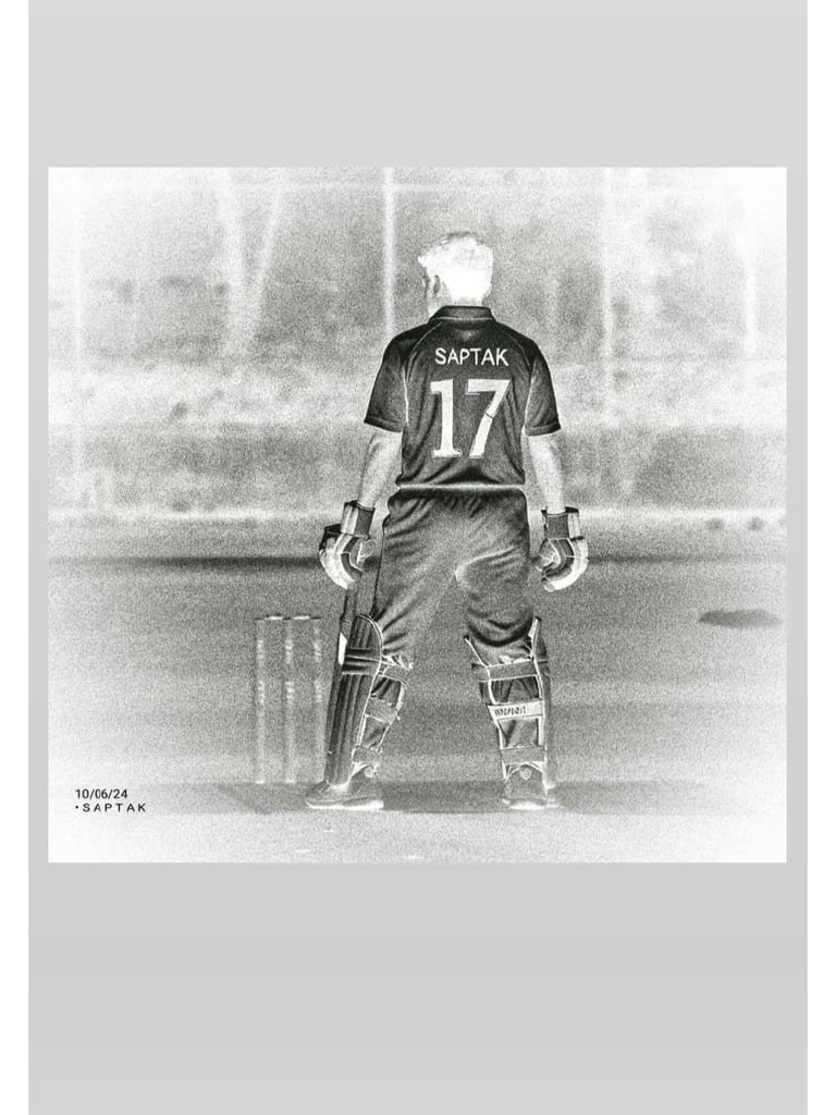 Cricket | PDF