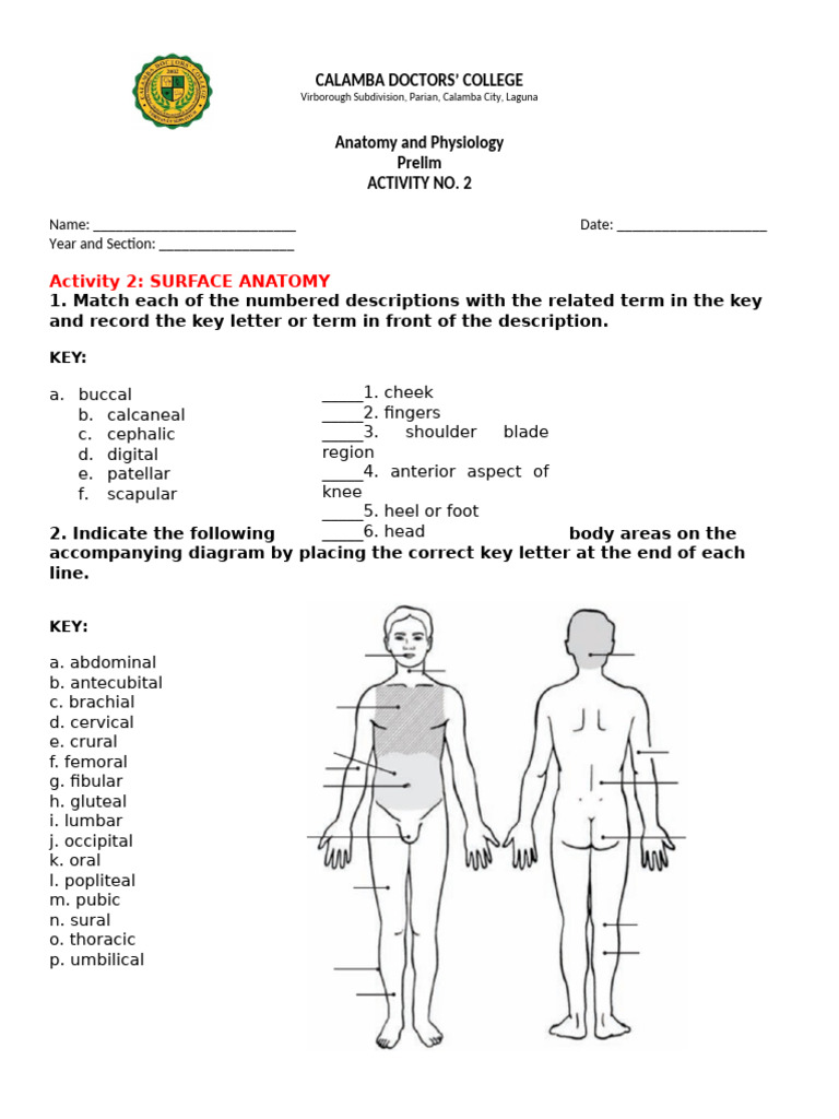 ANAPHY ACTIVITY 1 | PDF