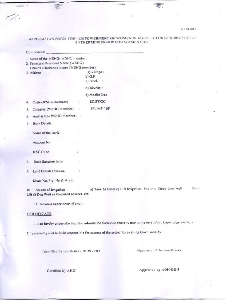 Form SHG For Chhatu | PDF