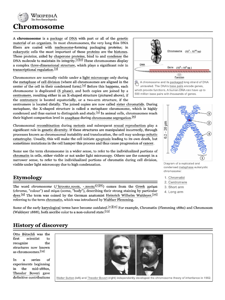 Chromosome | PDF