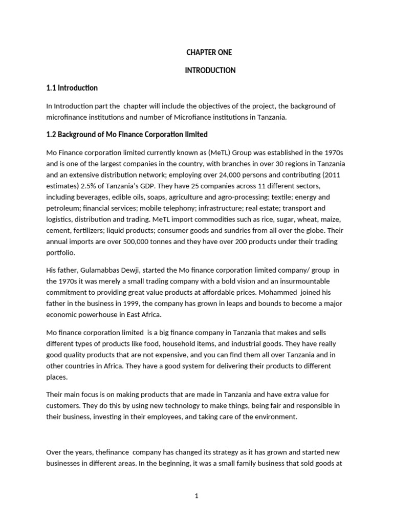 Microfinance Project | PDF
