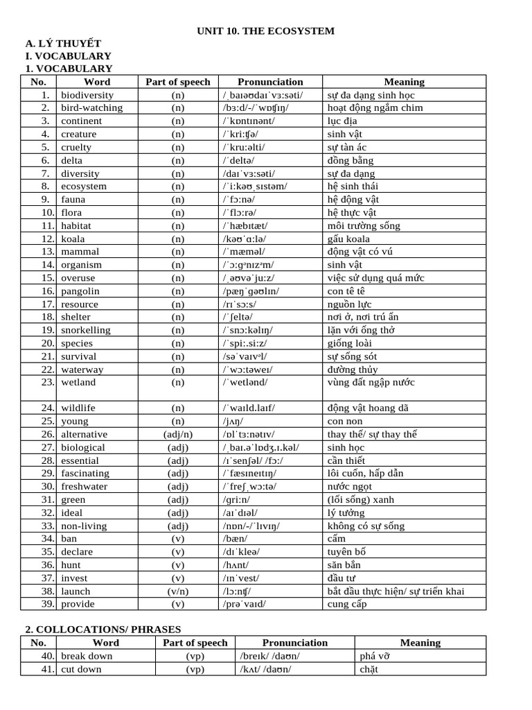 Unit 10 Vocab | PDF