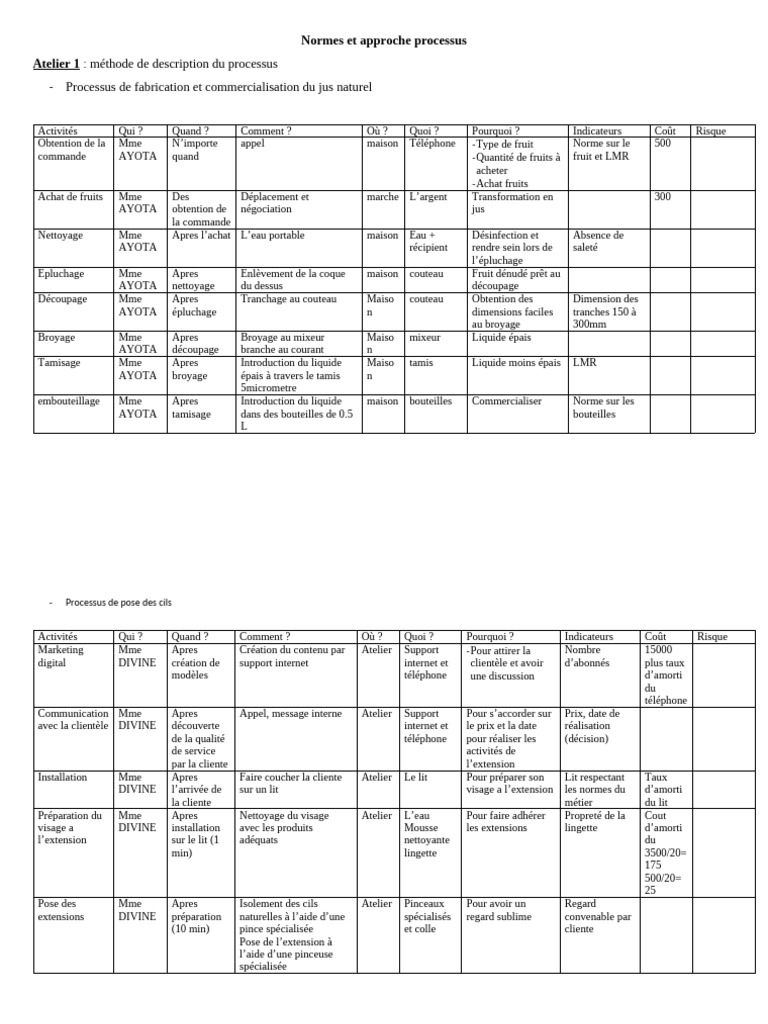 Copie de Normes Et Approche Processus | PDF