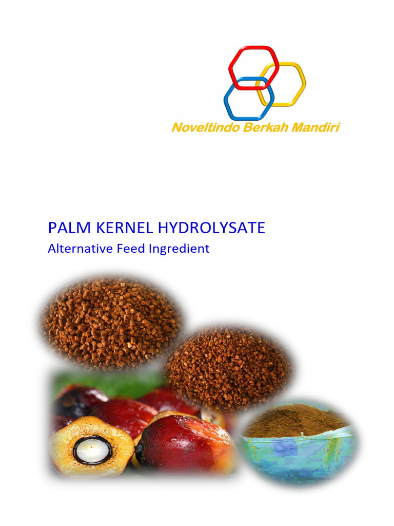 brosur pkh vs PKE | PDF