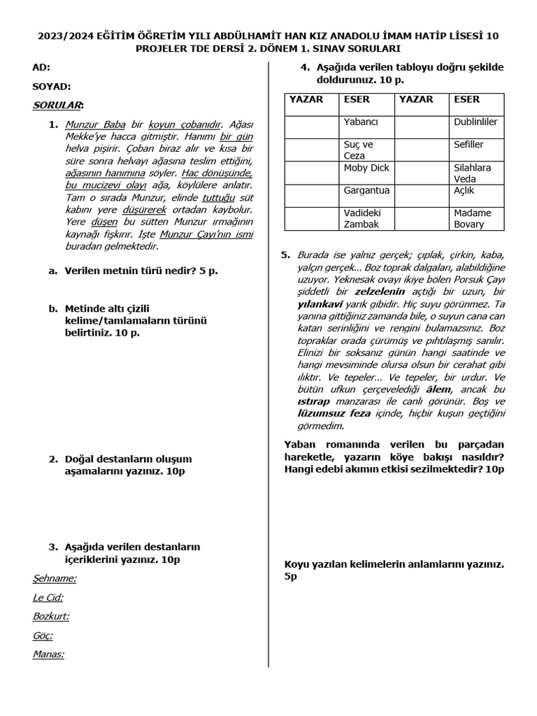 10 Proje Sinav | PDF