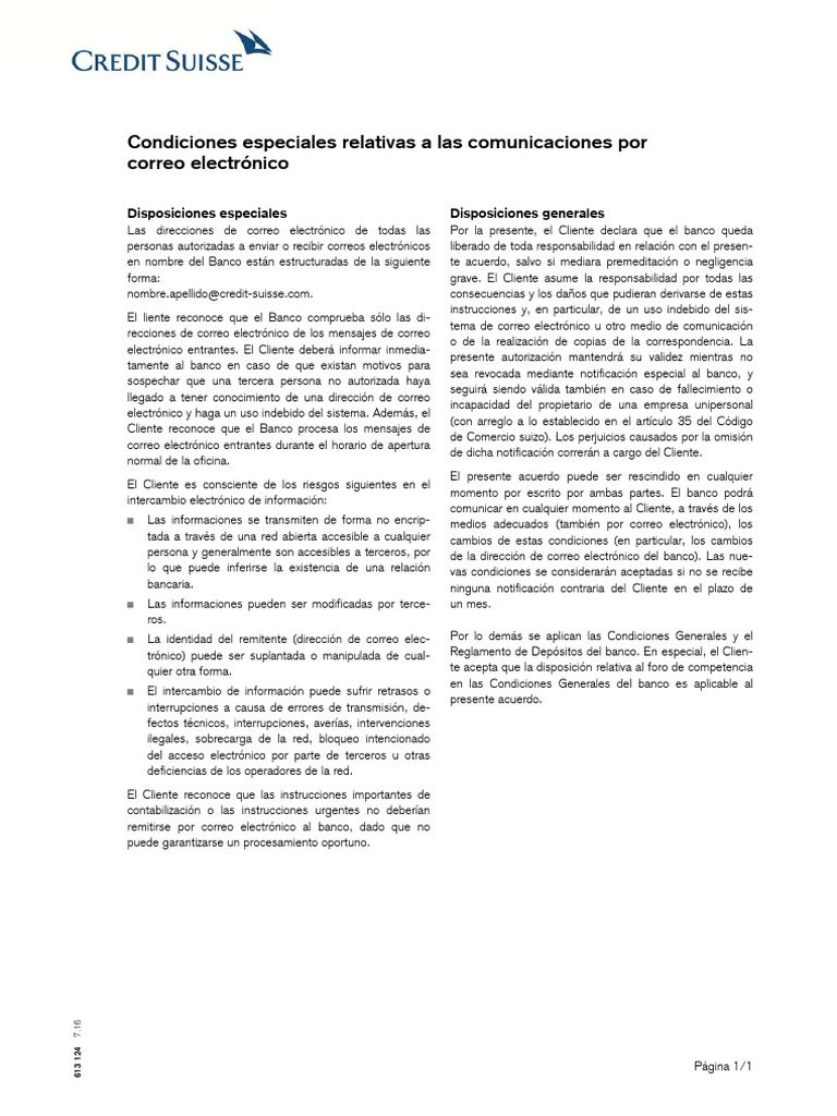 Condiciones Especiales Correo Electronico 613124 | PDF