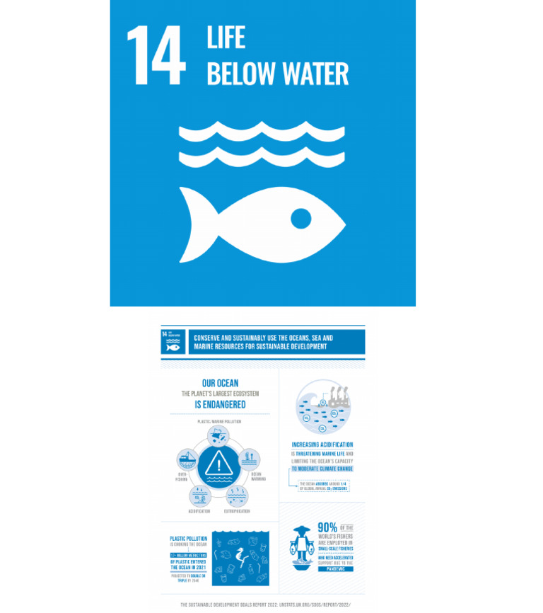 SDG 14 Life Below Water | PDF
