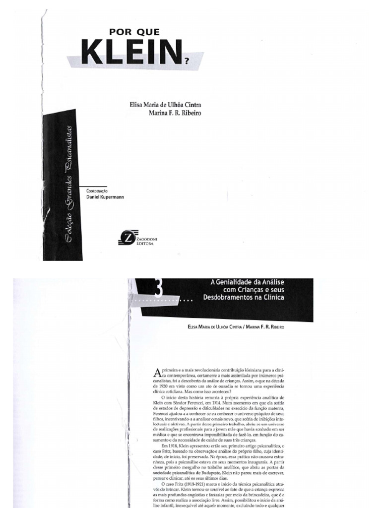 Aula 07 Opcional Tratamento Psicanalitico para Klein (Por Que Klein) | PDF