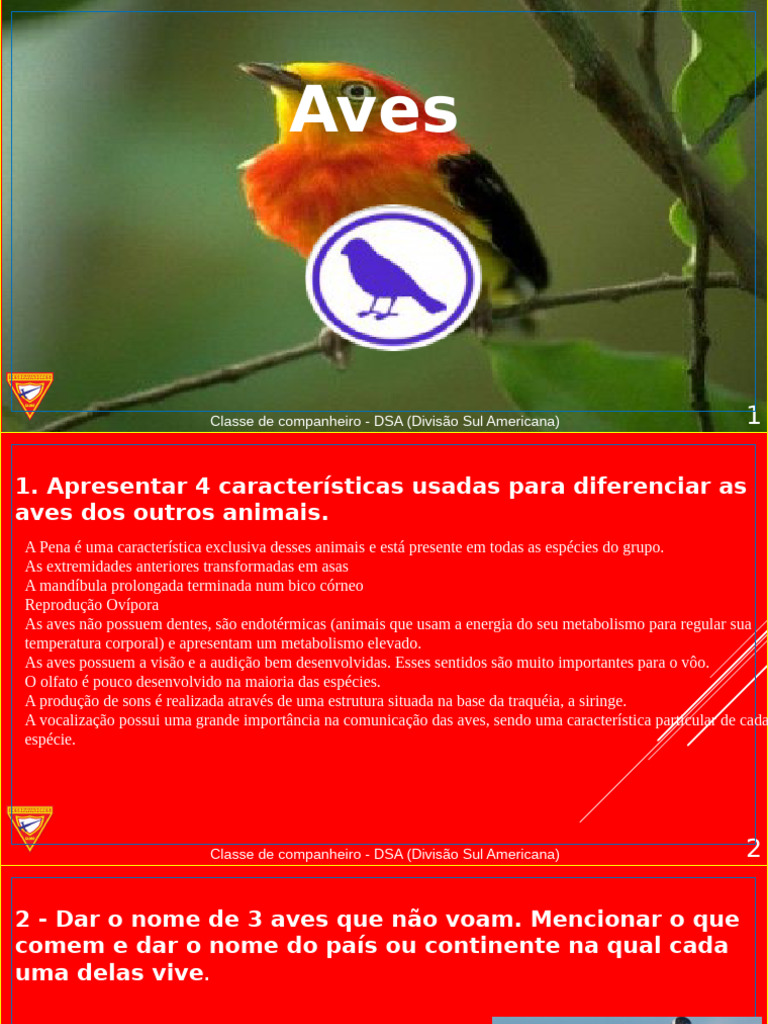 Aves | PDF