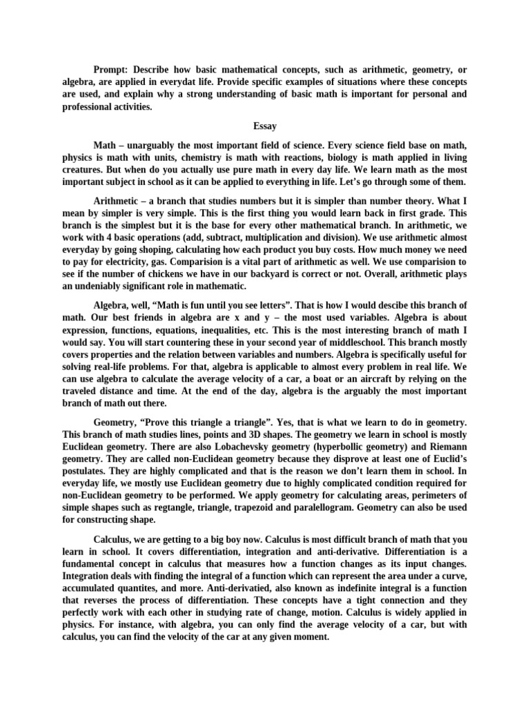 Math Essay | PDF