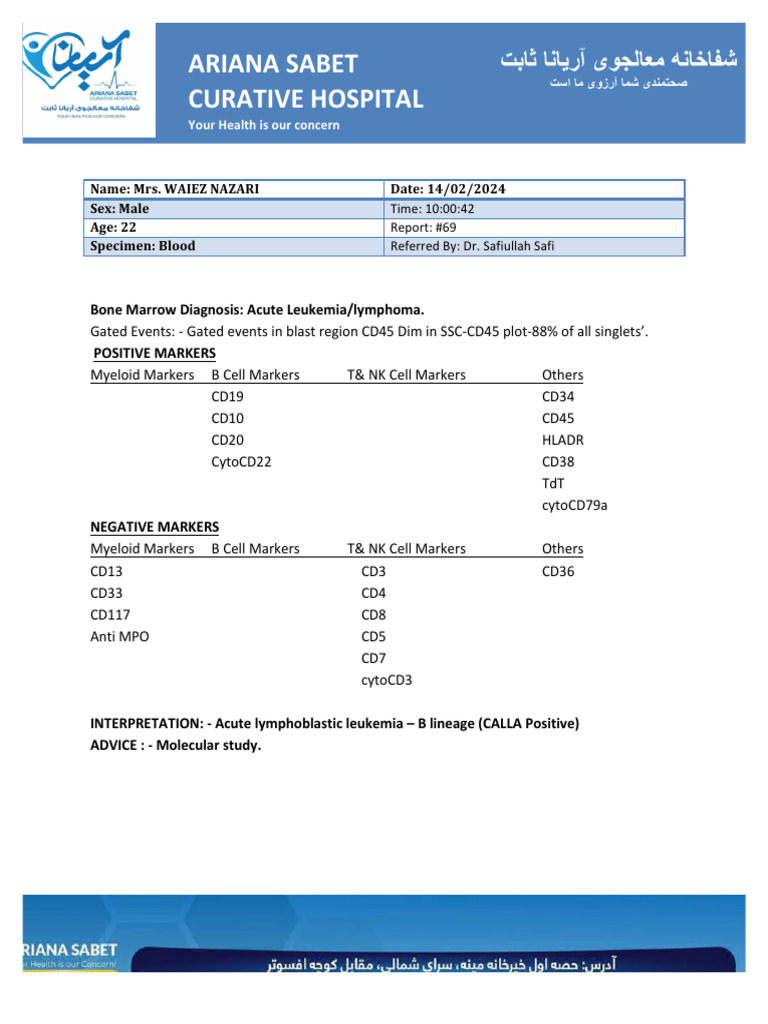 Ariana Sabet Curative Hospital 1 | PDF