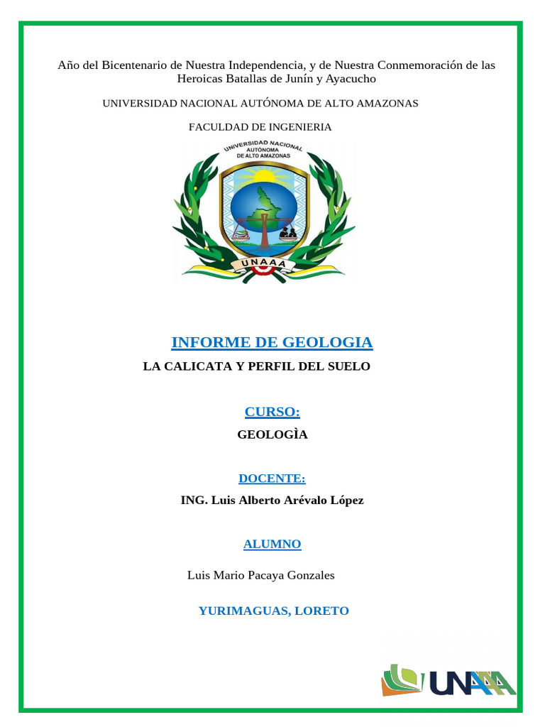 Calicata y Perfil del Suelo en Yurimaguas | PDF | Suelo | Ciencias de ...