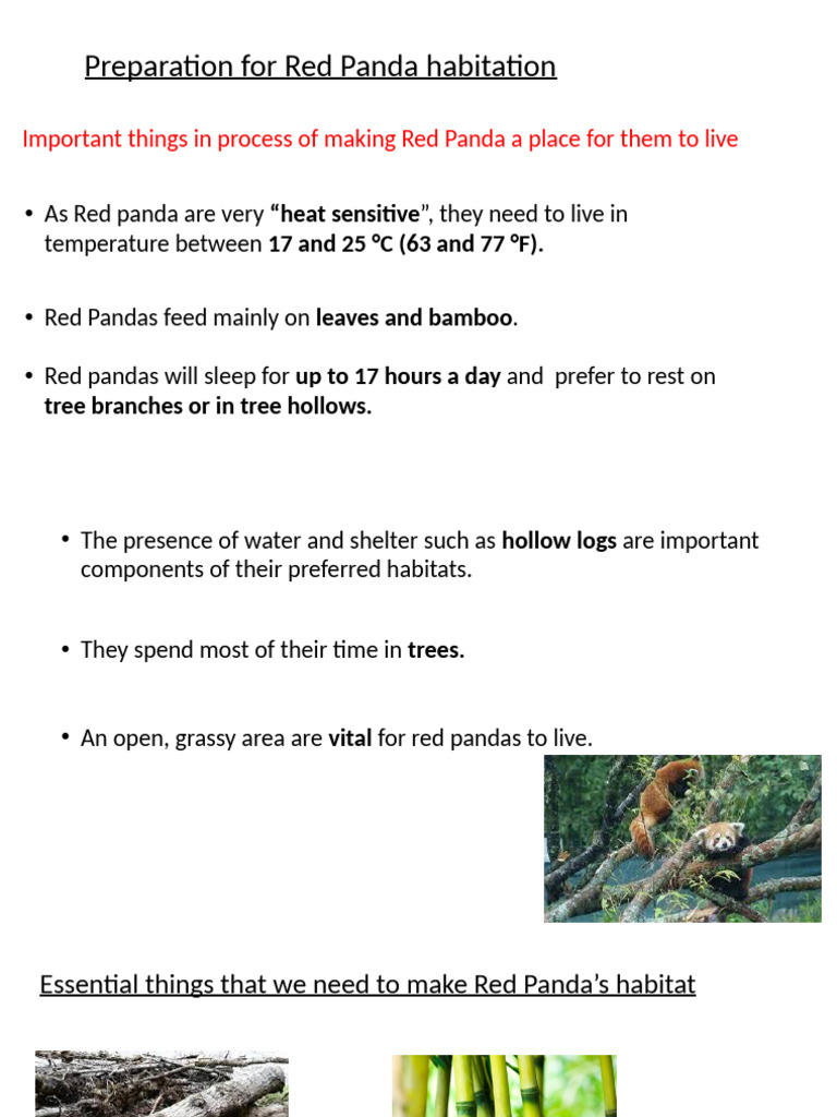 Red Panda Diagram | PDF