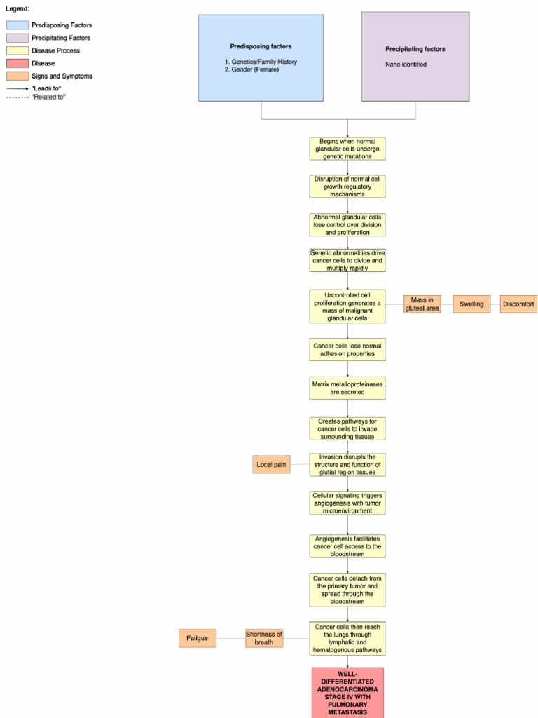 CONCEPT MAPS-CASE-PRESENTATION - ADENOCARCINOMA .Drawio - PNG | PDF