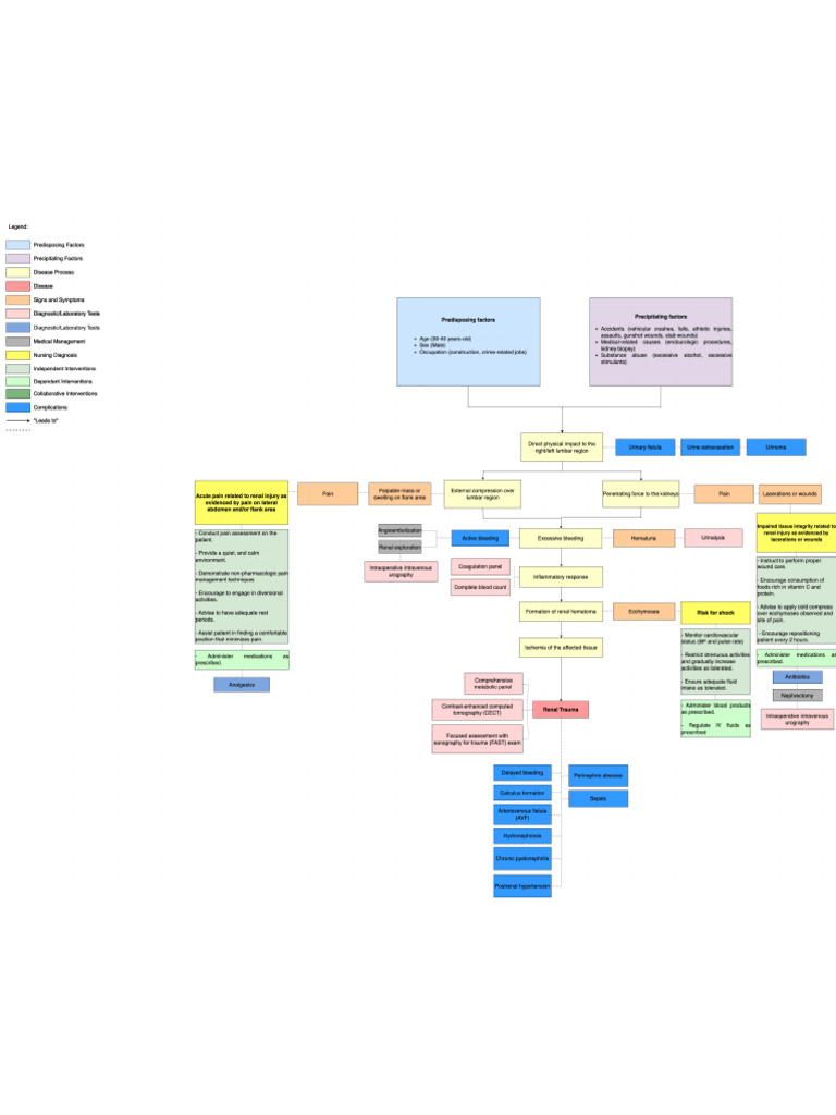 CONCEPT MAPS-RENAL TRAUMA - Drawio.png | PDF