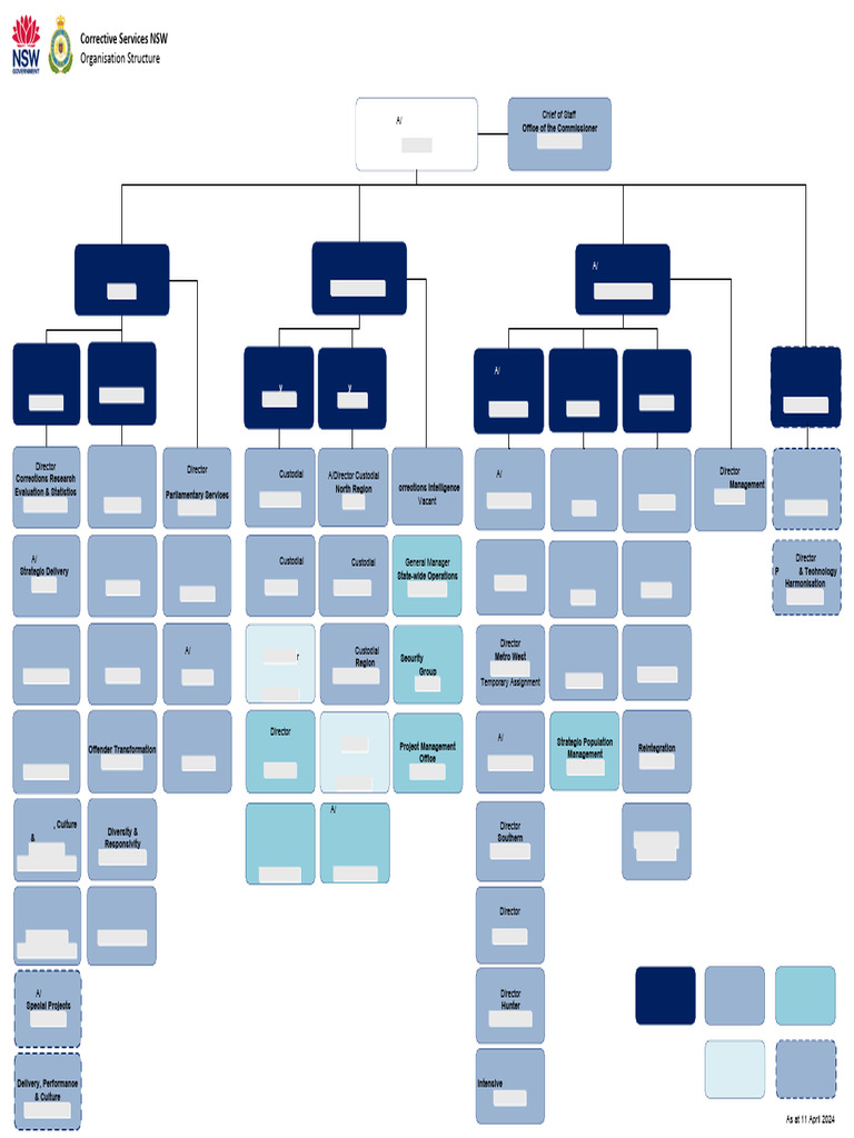 NSW Corrective Services Org Structure | PDF | Crimes | Crime & Violence