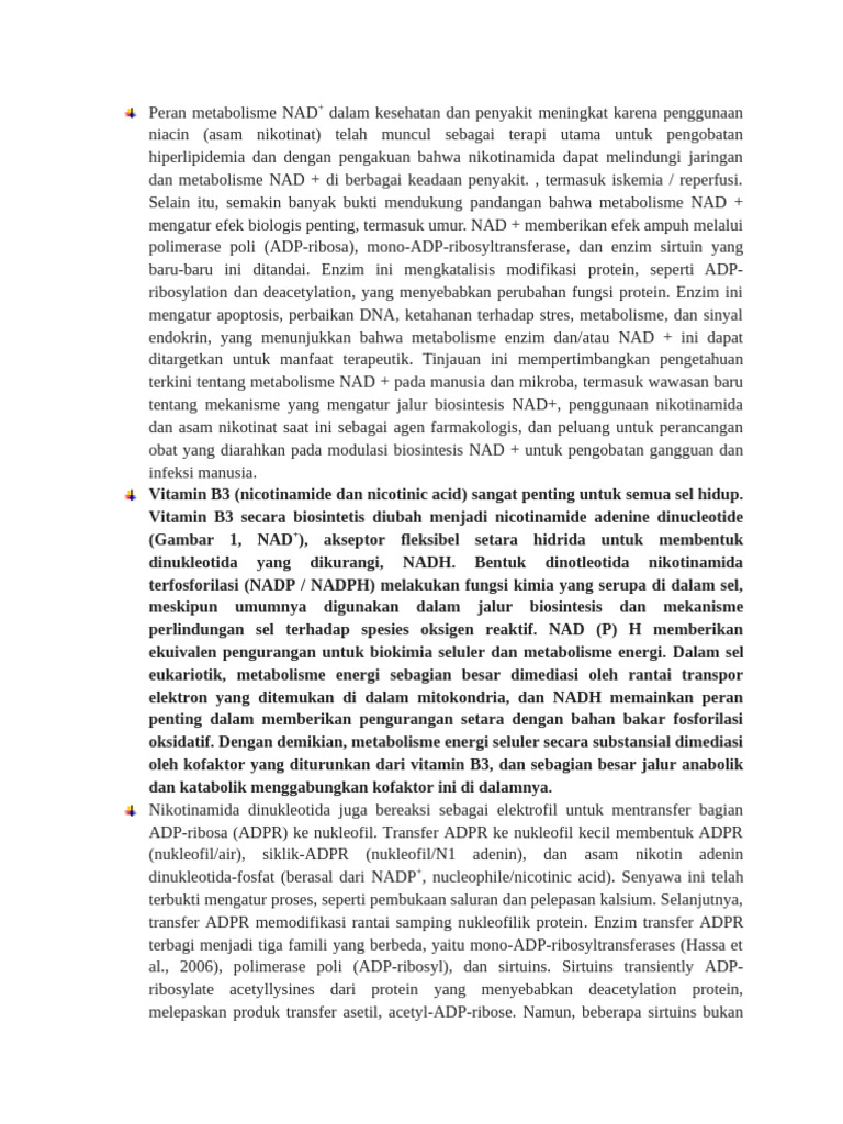 Peran Metabolisme NAD | PDF