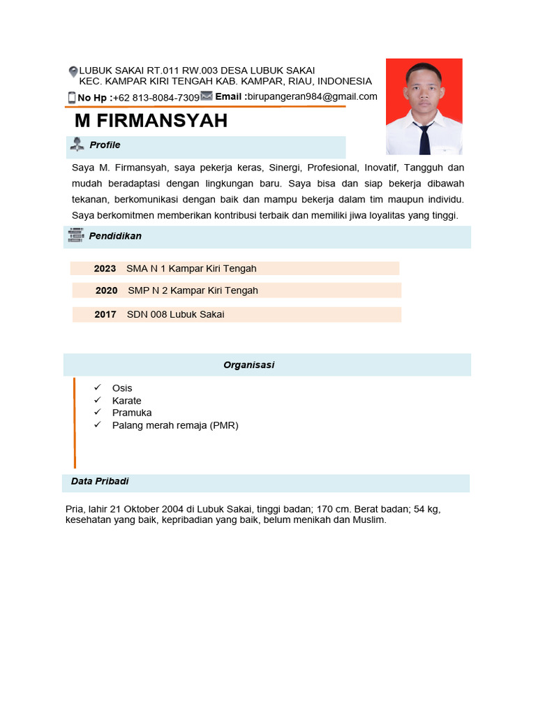 CV Firman | PDF