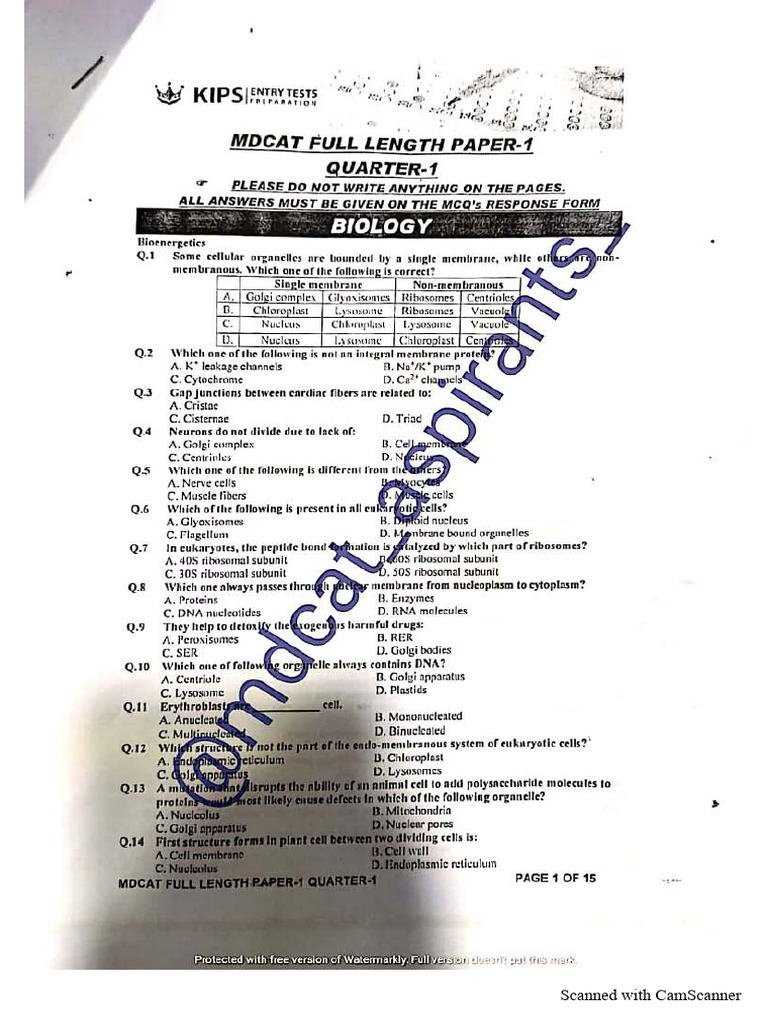 KIPS Quarter FLP 1key | PDF