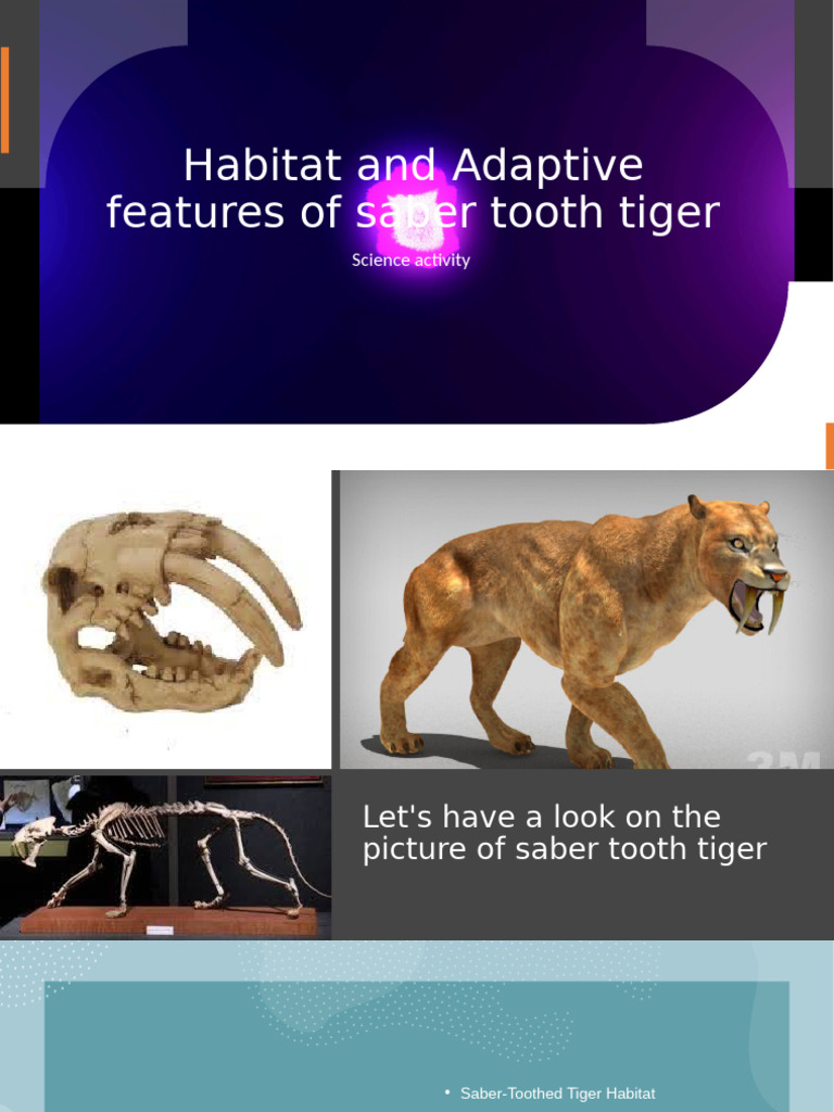 Habitat and Adaptive Features of Saber Tooth Tiger | PDF